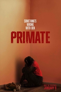 Primate in Movies @ The Square Film Times - entertainment.ie