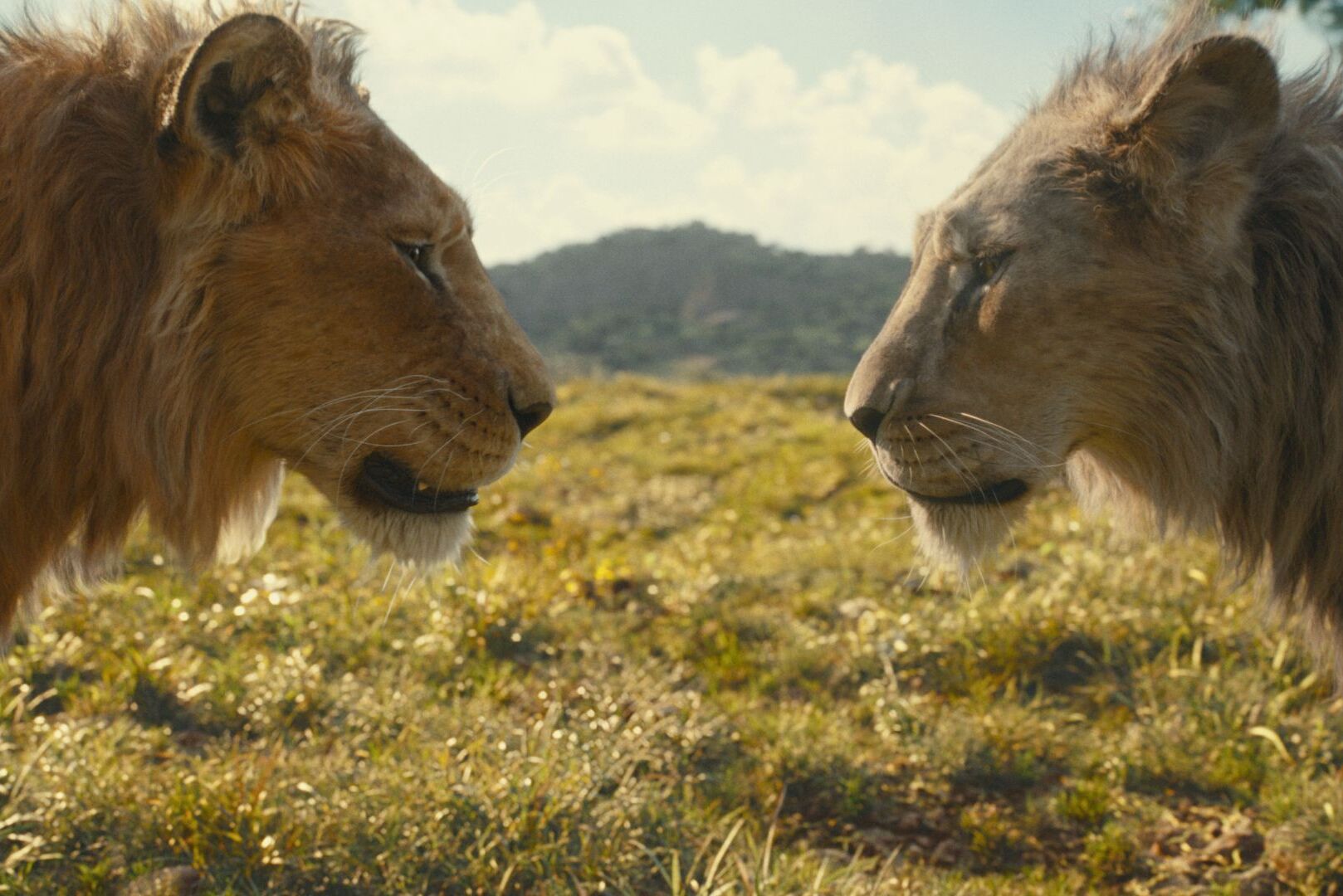 Mufasa: The Lion King: The IMAX Experience New York City.com : Synopsis